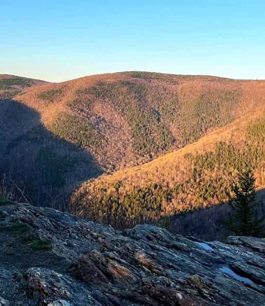 massachusetts easy trail views ftr