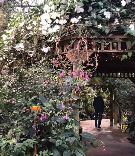 massachusetts enchanting butterfly conservatory ftr