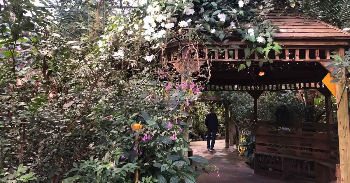 This Enchanting Butterfly Conservatory In Massachusetts Is The Largest ...