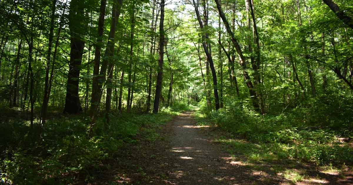 This Short 1.2-Mile Hike In Massachusetts Leads To A Hidden Waterfall ...