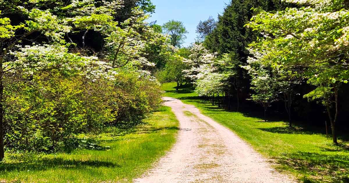 Pack Your Bags For This Massachusetts Road Trip That Leads To 7 Underrated State Parks