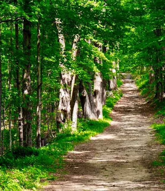 massachusetts pond loop trail ftr
