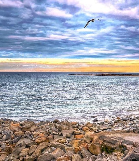 massachusetts rocky shoreline paradise ftr
