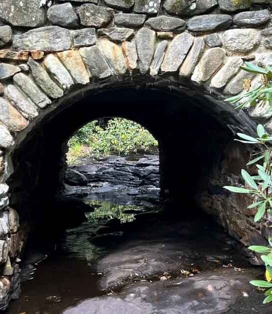 massachusetts secret pond trail ftr