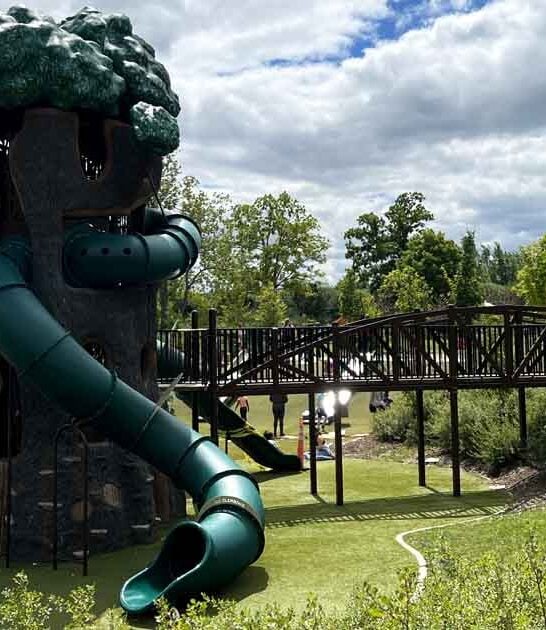 massive playground michigan paradise ftr