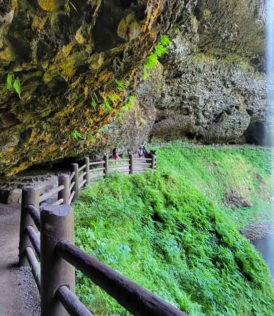This Oregon State Park Has 10 Waterfalls On One Trail &ndash; And You Can Walk Behind 4 Of Them