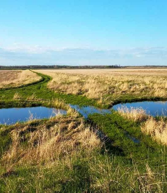 michigan most overlooked wildlife ftr