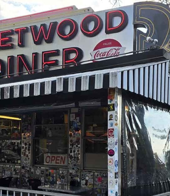 michigan old school diner ftr