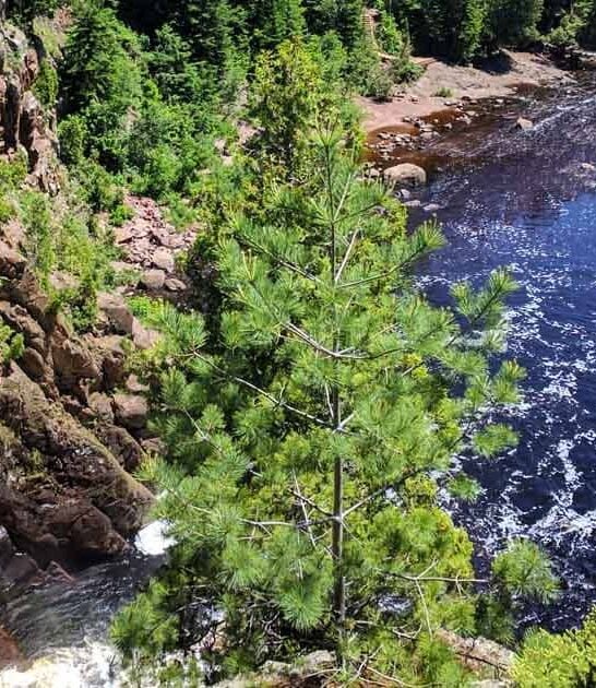 minnesota park climbing spot ftr