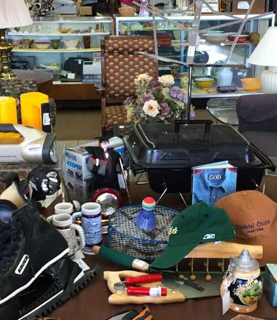 minnesota thrift treasure paradise ftr