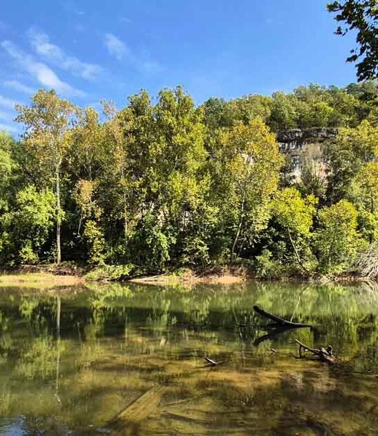 missouri crystal clear spring ftr
