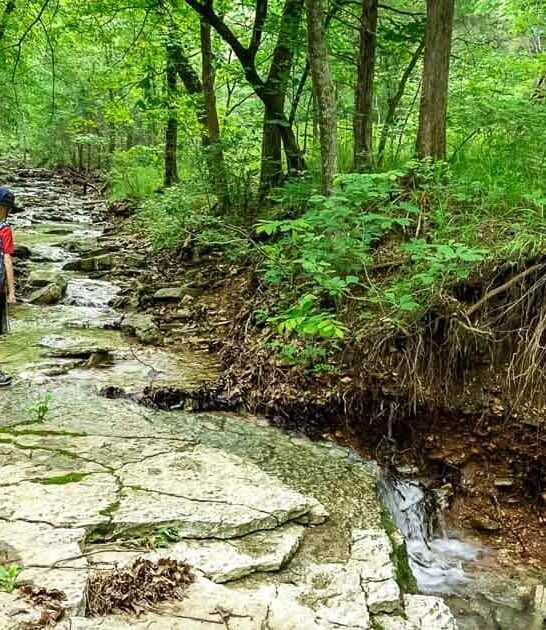 This Gorgeous Missouri Hiking Trail Has More Waterfalls Than Miles