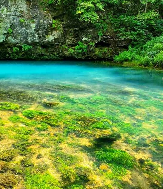 This Hidden Missouri Spring Is One Of The Prettiest Places In The State