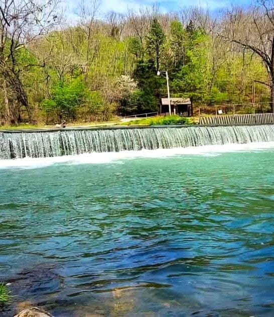 missouri trout angler park ftr