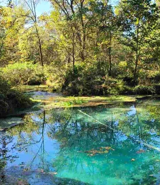 missouri trout fishing paradise ftr