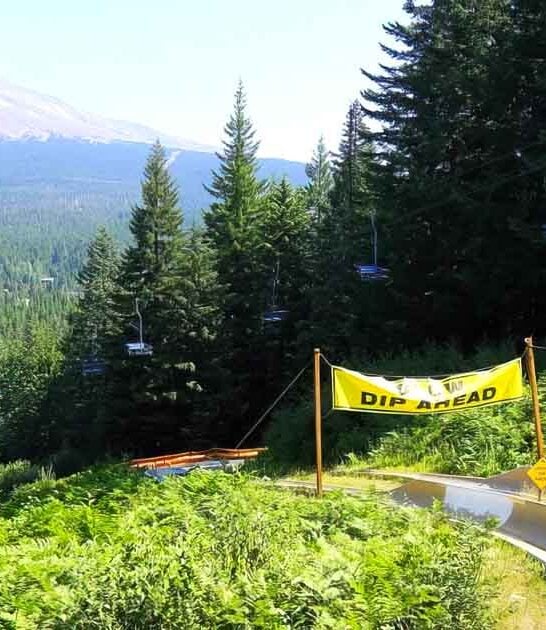 Race Down A Mountain On This Insanely Fun Alpine Slide In Oregon