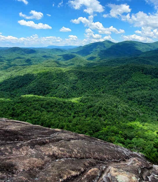 natural north carolina wonders ftr