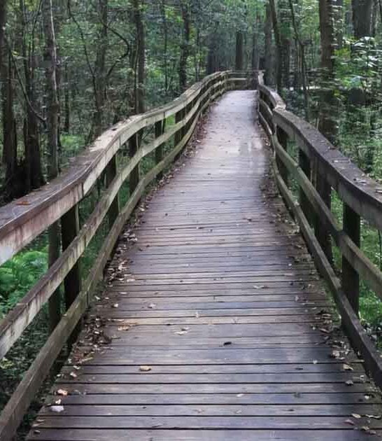 natural south carolina wonders ftr