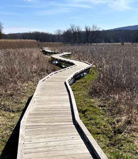 Here Are 13 Hikes In New Jersey That Are Less Than 5 Miles And Beyond Beautiful