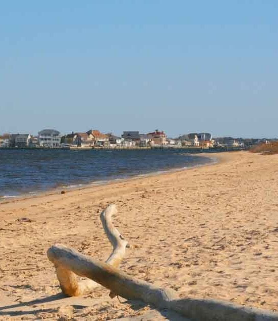 new jersey coastal park ftr