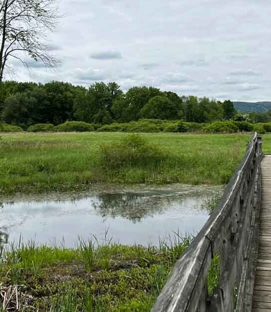 13 Incredible Hikes Under 5 Miles Everyone In New Jersey Should Take