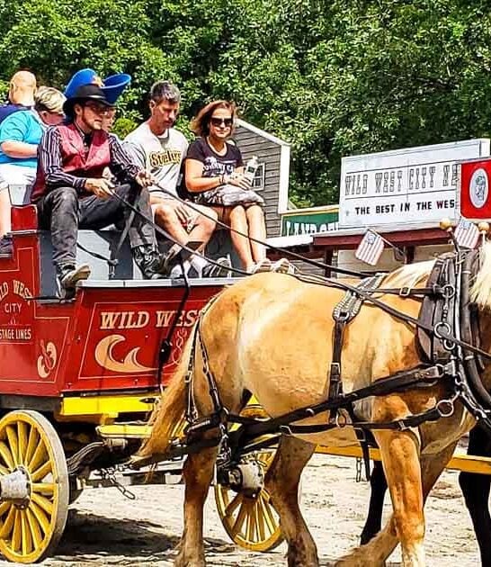 new jersey quirky park ftr