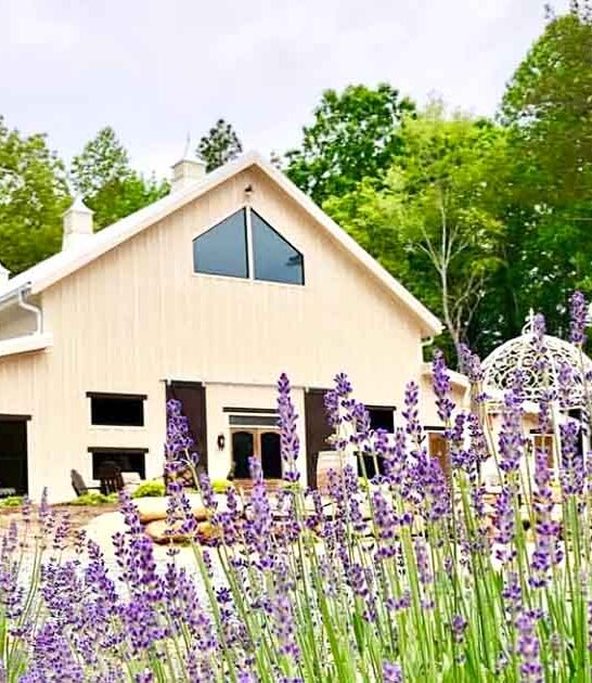 This Dreamy 60-Acre Lavender Farm Is One Of North Carolina&rsquo;s Best-Kept Secrets