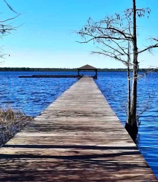 north carolina park feels ftr