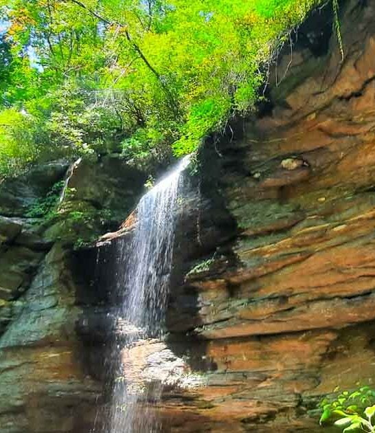 The Scenic 1.2-Mile Out-And-Back Hike In North Carolina With A Waterfall Finish