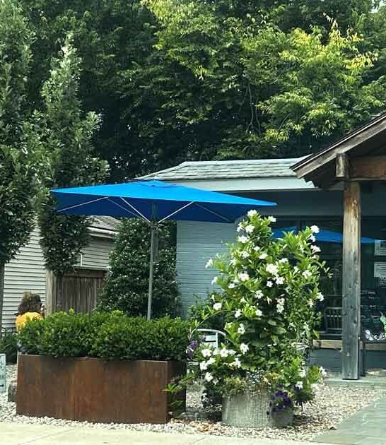 outdoor kentucky coffee shop ftr