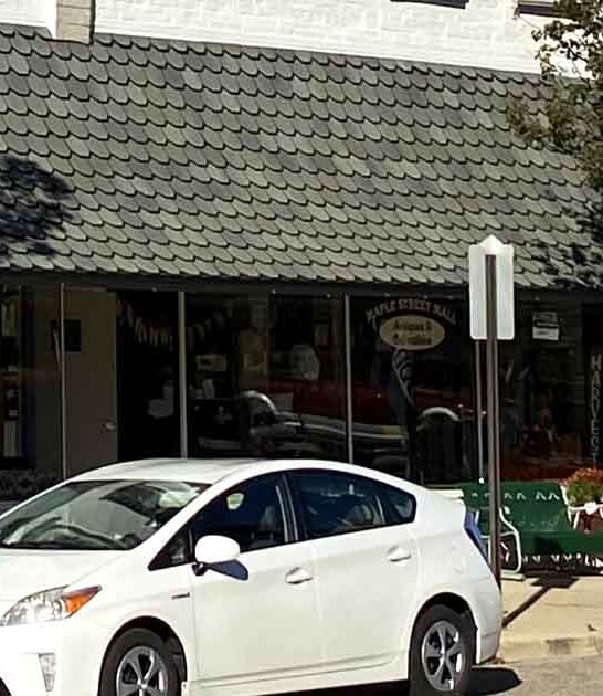 packed antique store michigan ftr