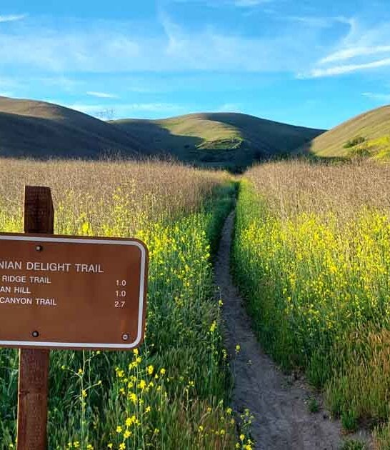 park california rolling hills ftr