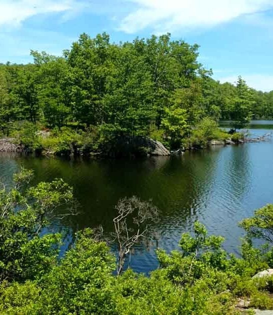 park new jersey spot ftr