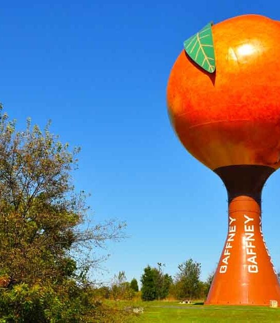 peach south carolina tower ftr