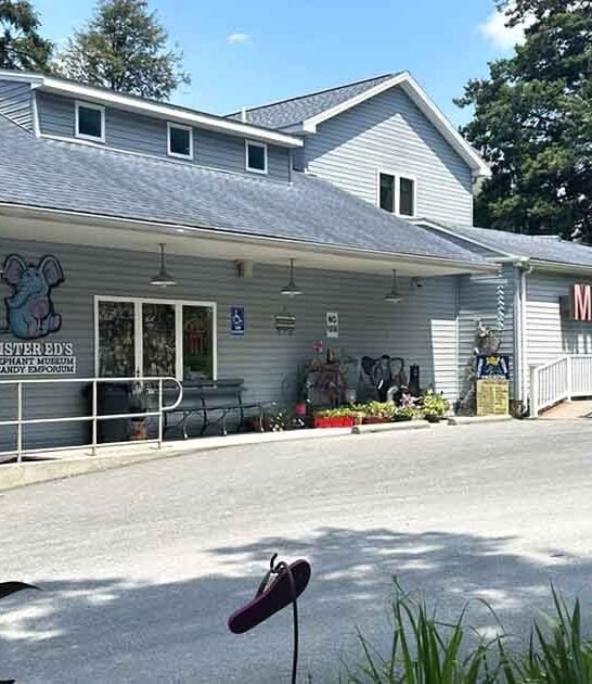 pennsylvania candy shop storybook ftr