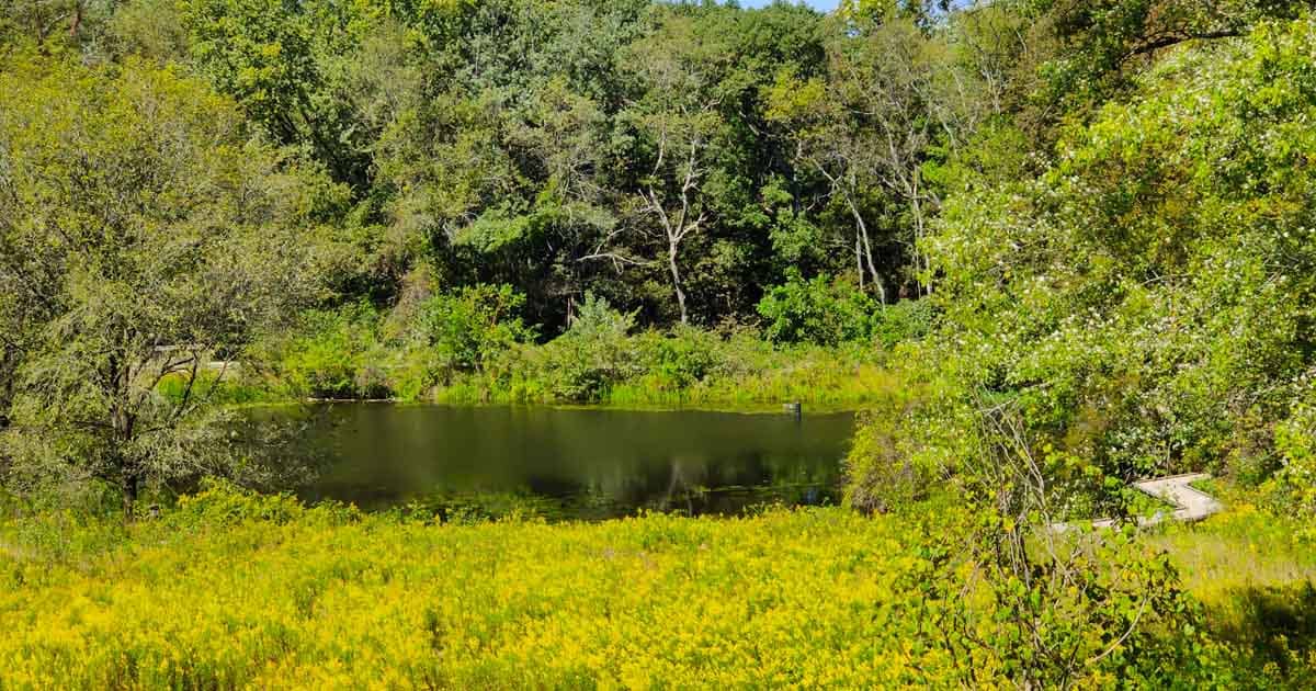 The Little-Known Pennsylvania Nature Preserve That Locals Are Keeping All To Themselves