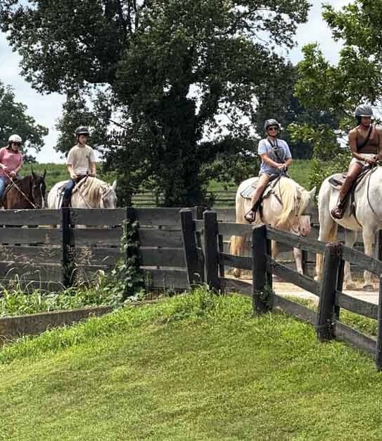 perfect day trips kentucky ftr