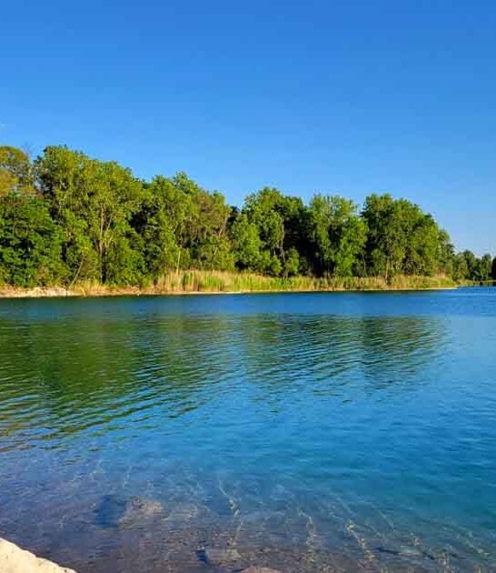 picturesque illinois park trip ftr