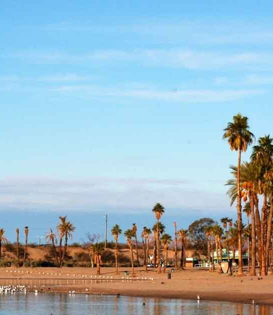 picturesque trips arizona beauty ftr