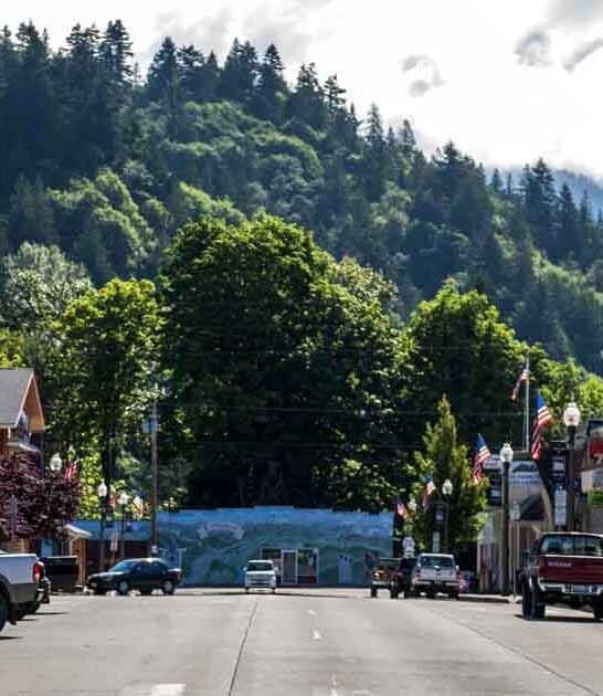 safe town washington ftr