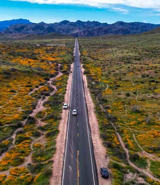 This Scenic Arizona Drive Leads To A Mini Grand Canyon