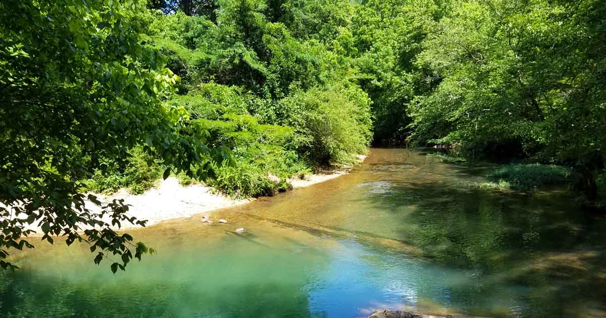The Little-Known Alabama Nature Preserve That Locals Are Keeping All To ...