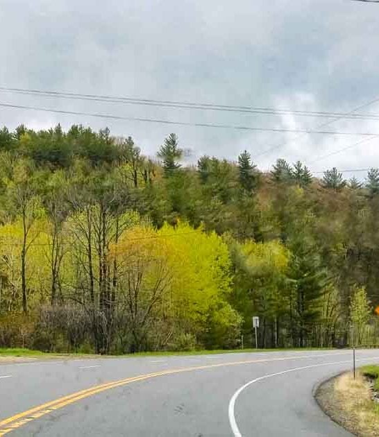 This 27-Mile Scenic Drive In New York Is One Of The Best Road Trips You Can Take
