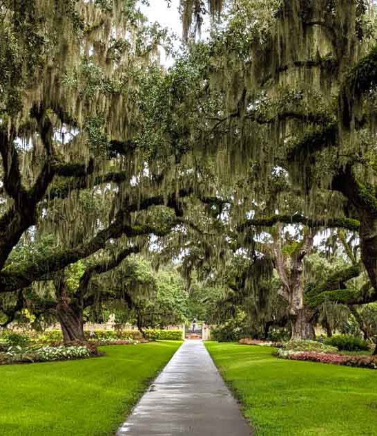 sculpture garden south carolina ftr