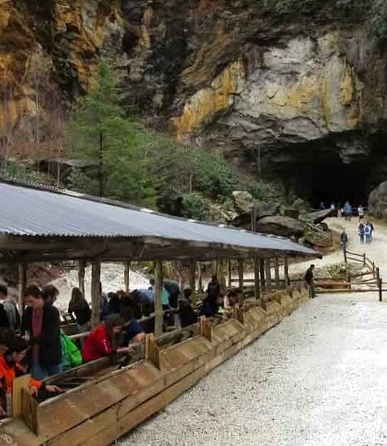 secret mine north carolina ftr