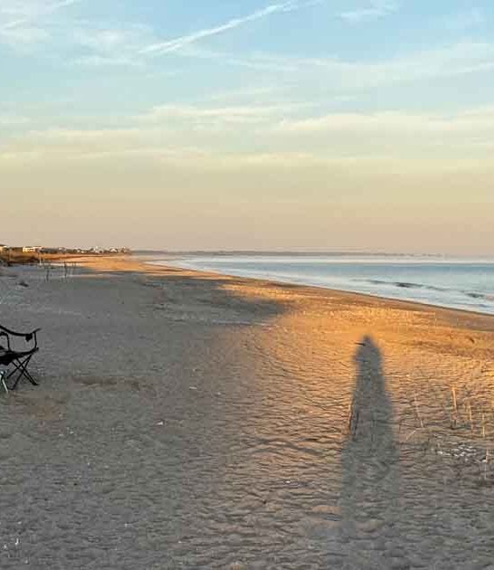 south carolina beaches crowds ftr