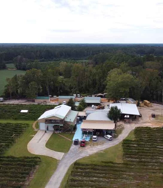 south carolina winery getaway ftr