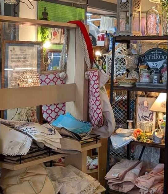 sprawling vintage michigan store ftr