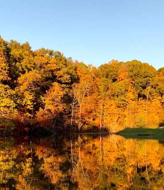 This Underrated State Park In Ohio Is The Stress-Melting Escape You Didn&rsquo;t Know You Needed