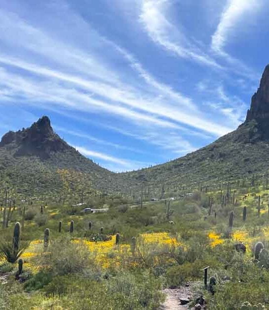 stunning arizona park ftr